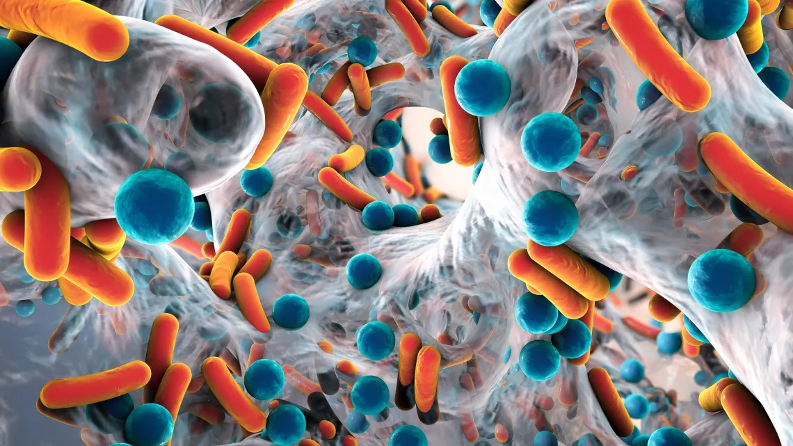 Global Research on AntiMicrobial resistance (GRAM) • Antimicrobial ...