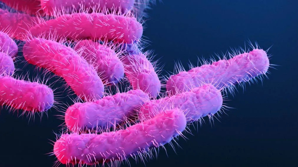 Global Research on AntiMicrobial resistance (GRAM) • Antimicrobial ...