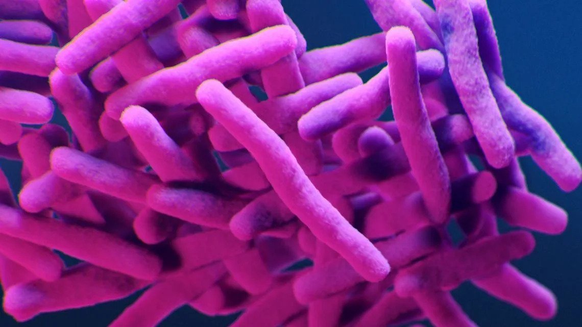 Global Research on AntiMicrobial resistance (GRAM) • Antimicrobial ...