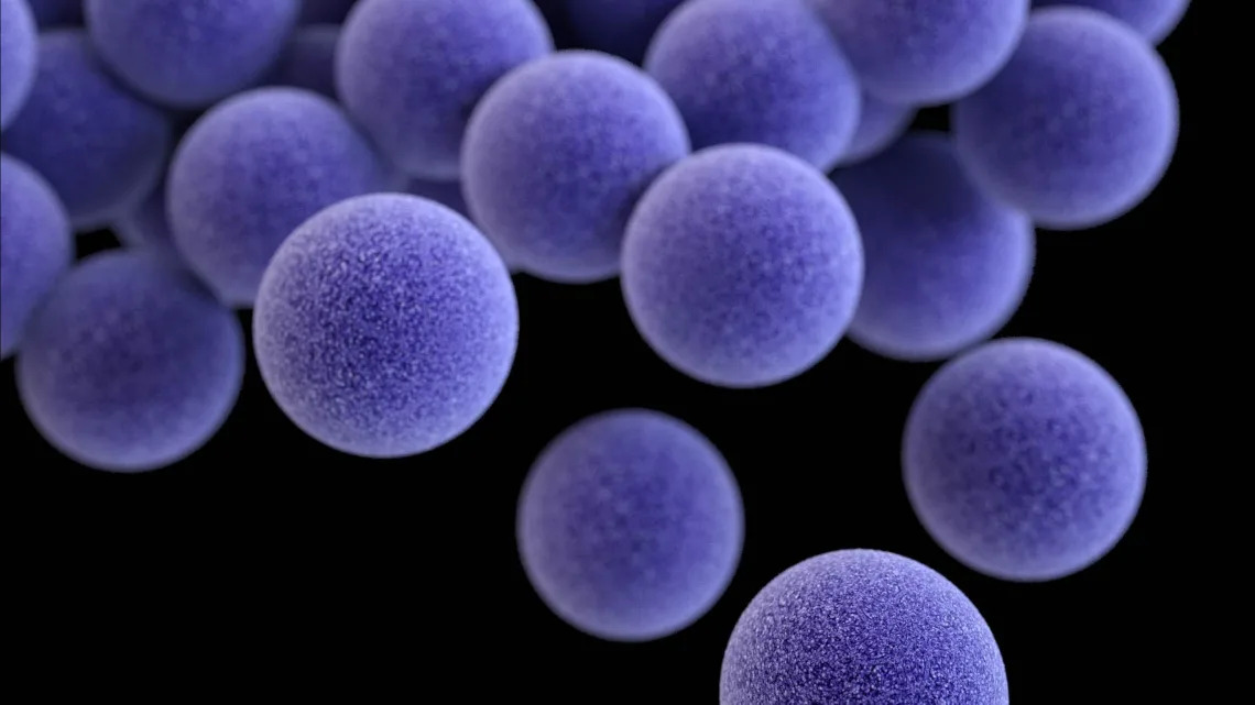 Global Research on AntiMicrobial resistance (GRAM) • Antimicrobial ...